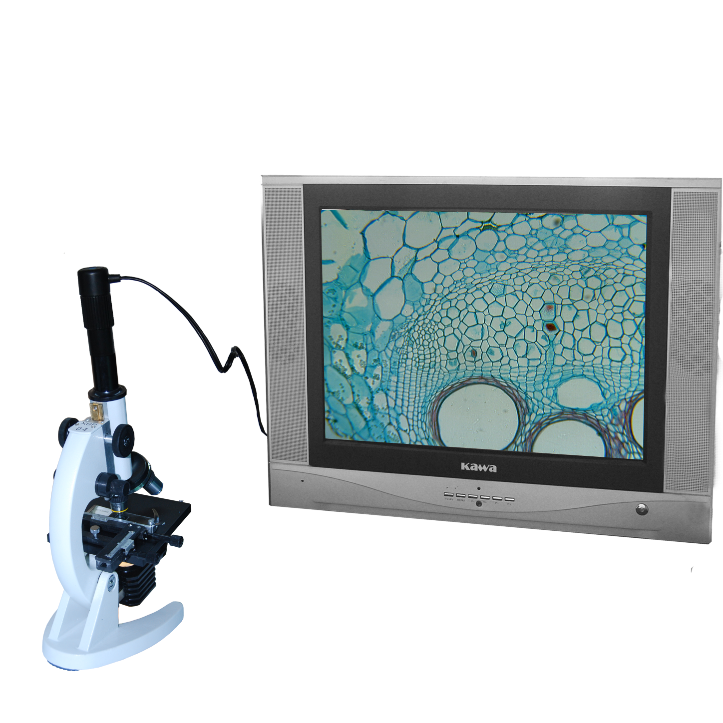 NTSC system microscope video eyepiece camera